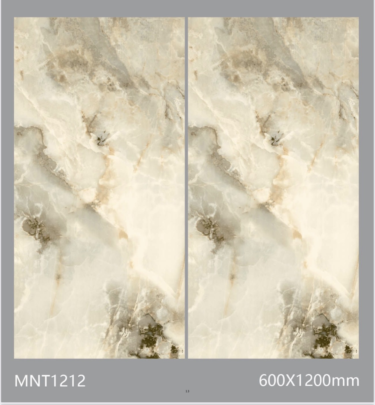 60x120CM Porcelain Floor Tile MNT1212 - Coral