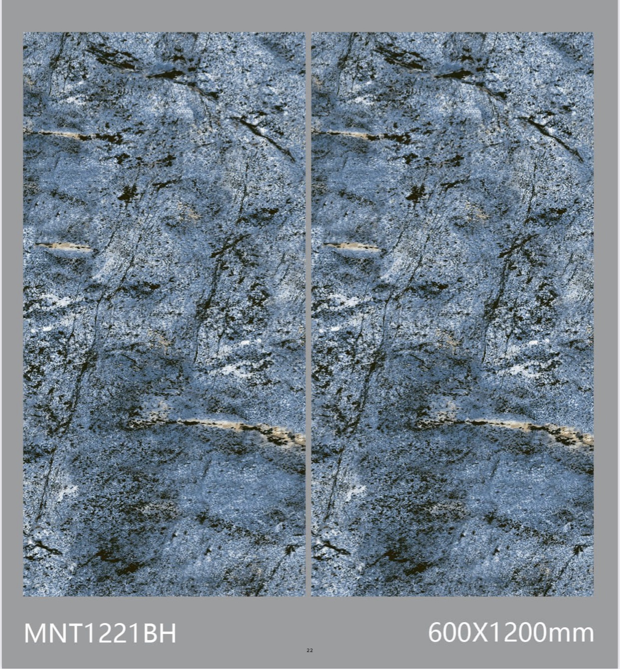 60x120CM Porcelain Floor Tile MNT1221BH - Coral